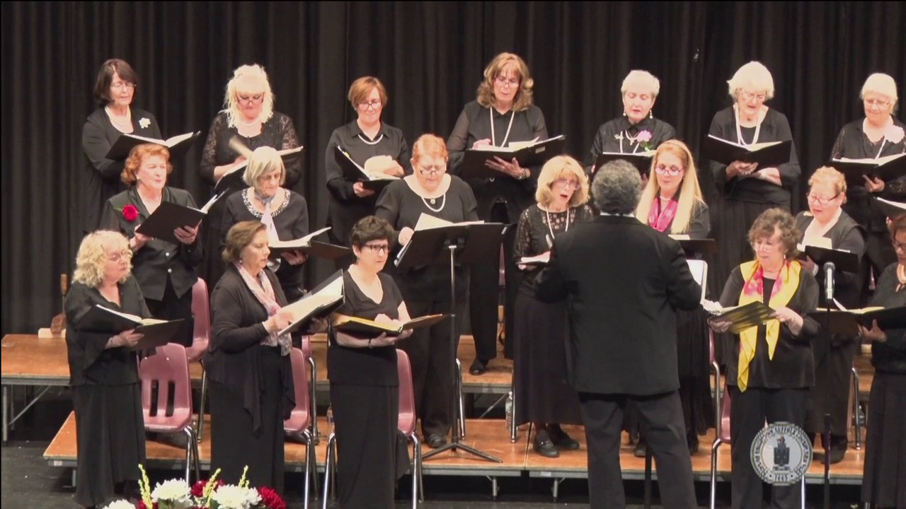 Spotlight: Silver Chords Chorus - YouTube