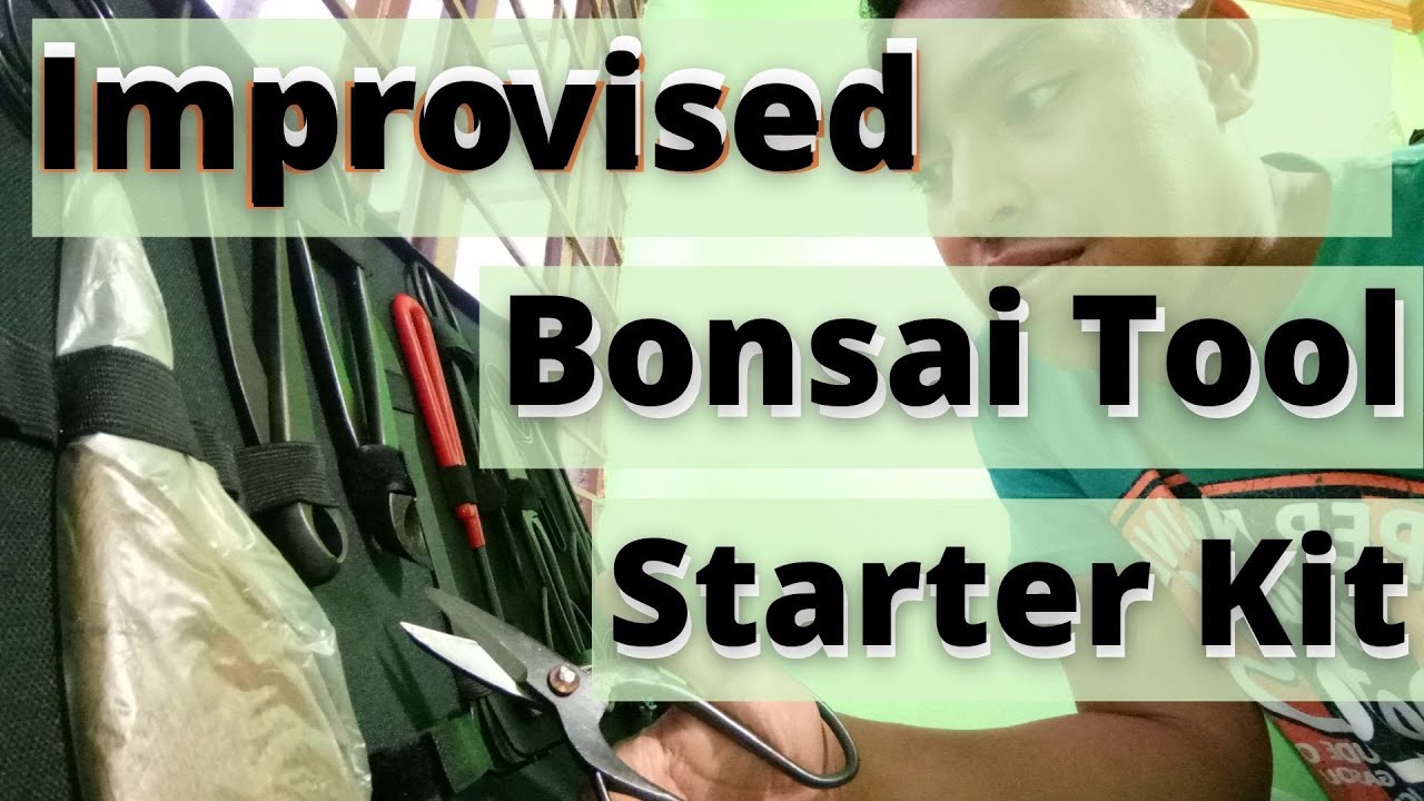 Improvised Bonsai Tool Starter Kit : Workshop with Bonsai Basic Tools ...
