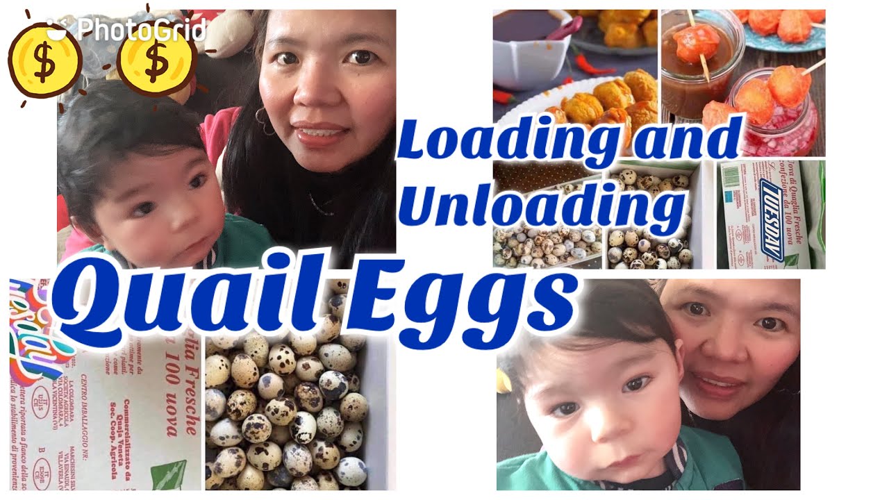 Loading and Unloading Quail Eggs with my half Italian / Filipino Baby ...