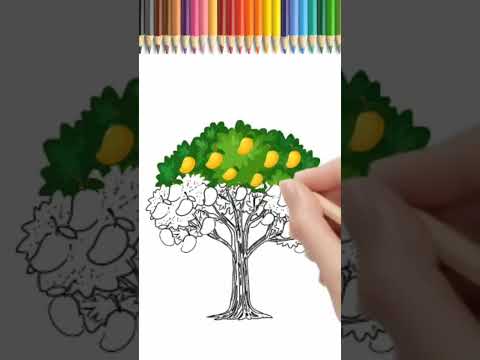 DRAW Mango tree | Painting and Coloring #kidsvideo #drawing #cutebaby  #kidslearning #mango