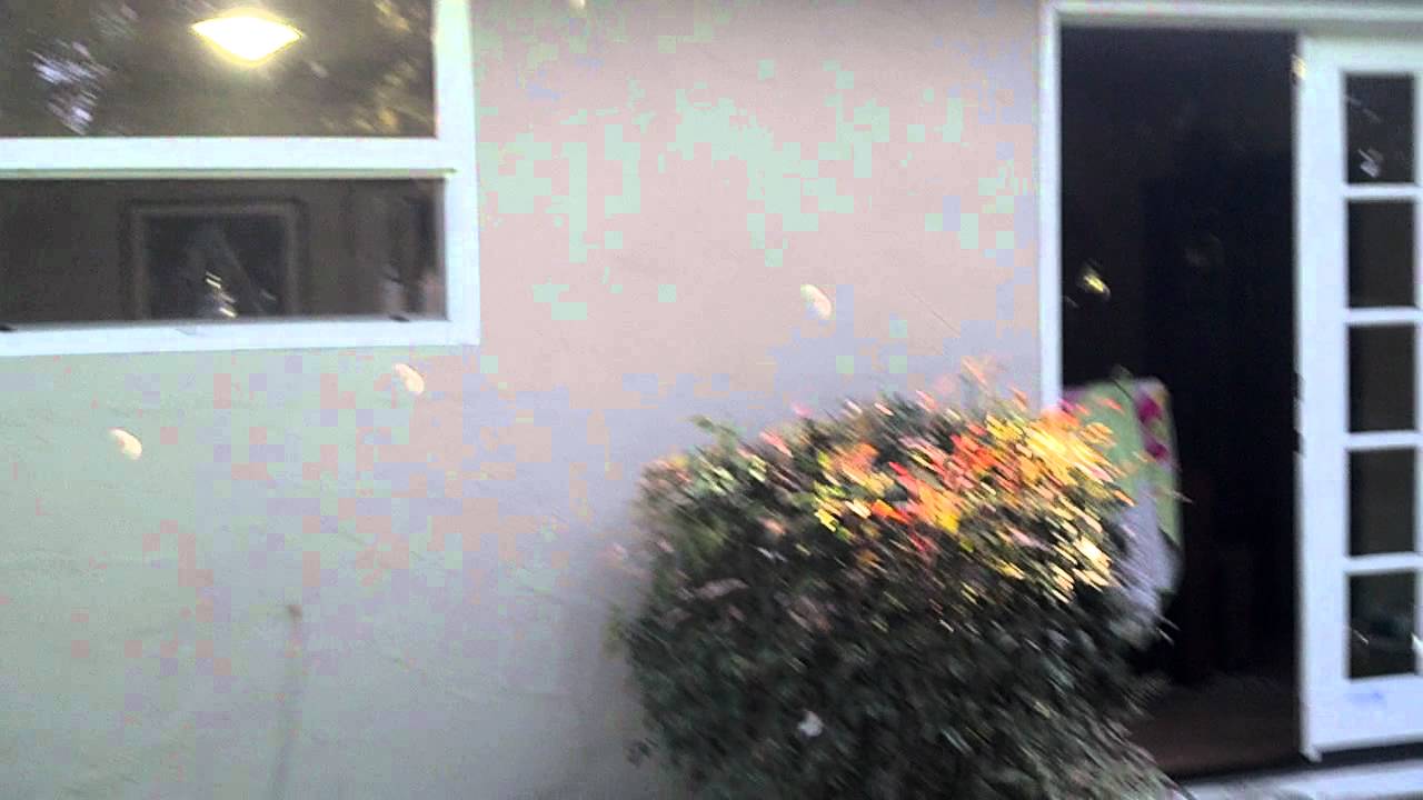 Disco ball projects solar eclipse all over back yard - YouTube
