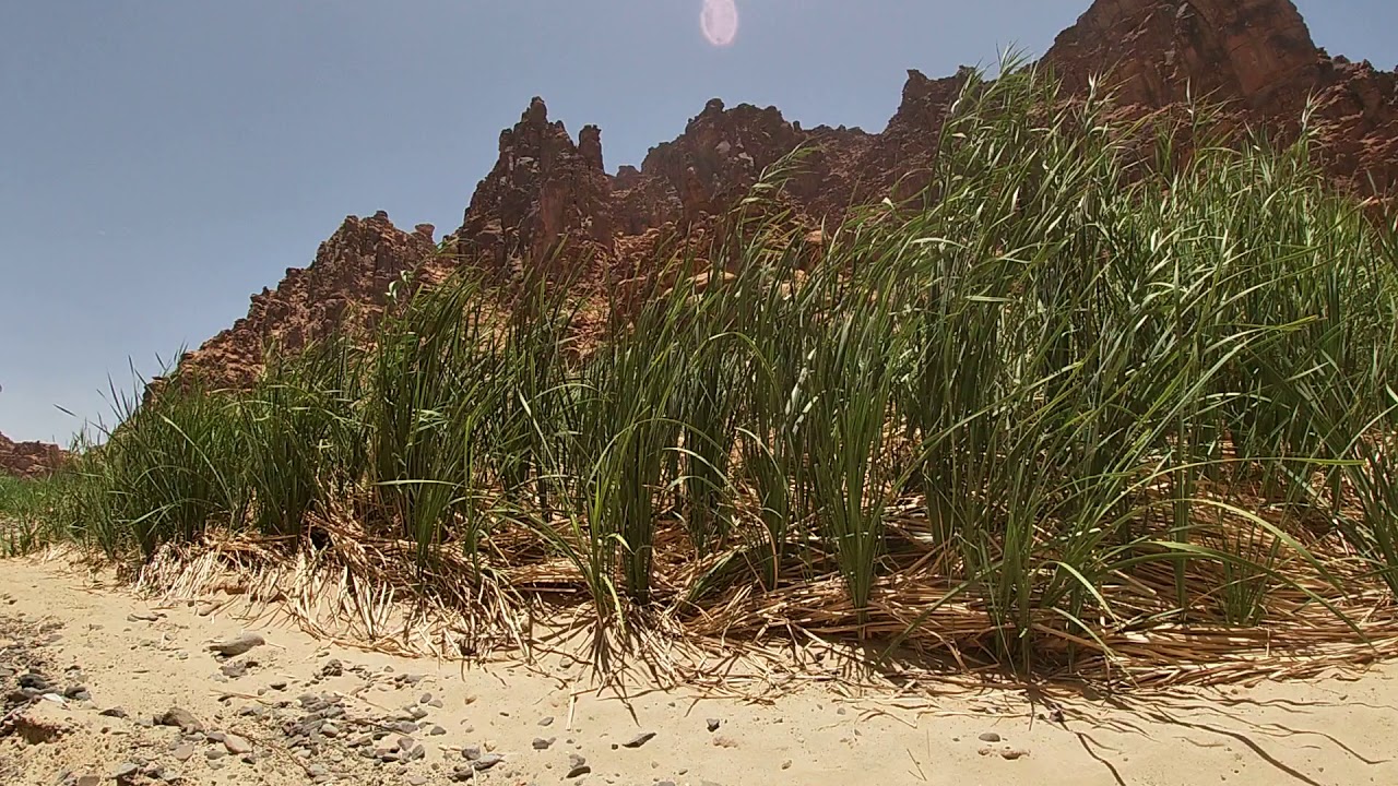 Crossing Wadi Dissa - Tabuk region - YouTube