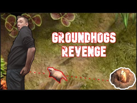Groundhogs Revenege || The Ants Underground kingdom - YouTube