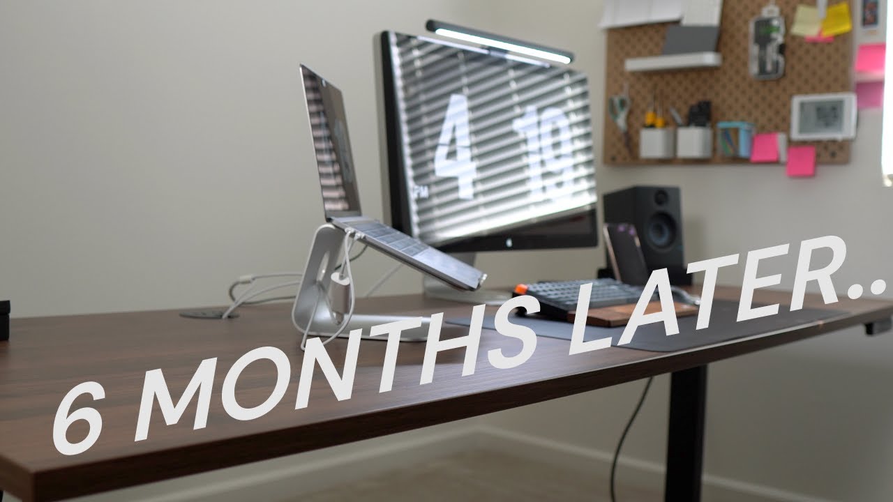 Lady bird standing desk converter store