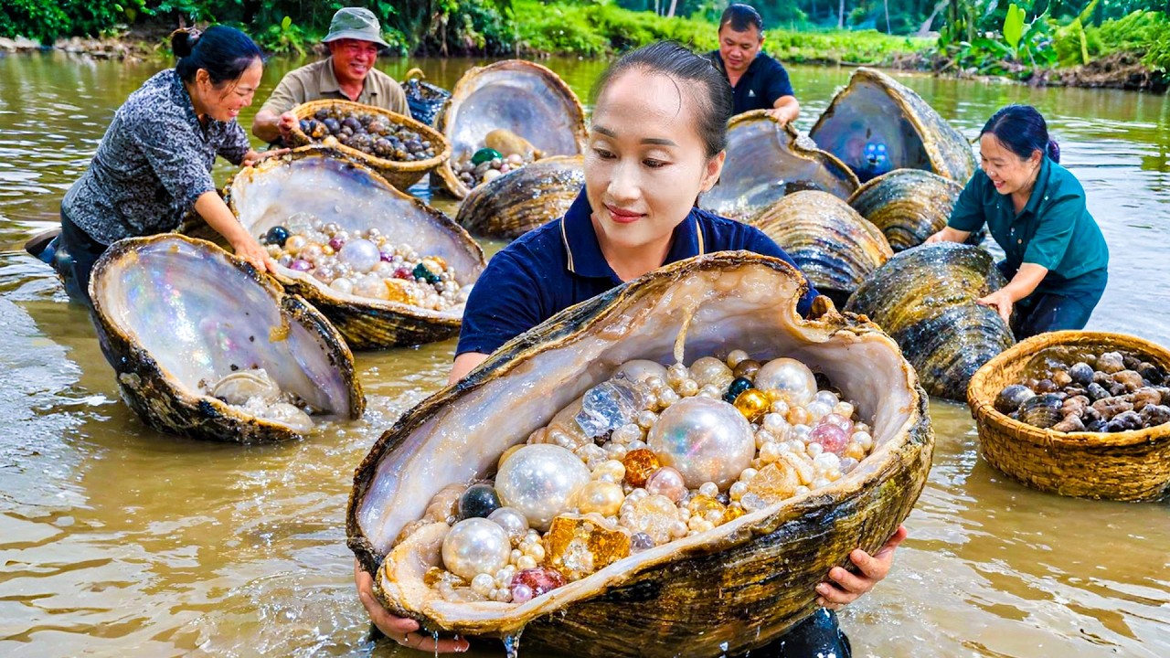Harvesting bamboo shoots, catching giant snails to sell at the market ...