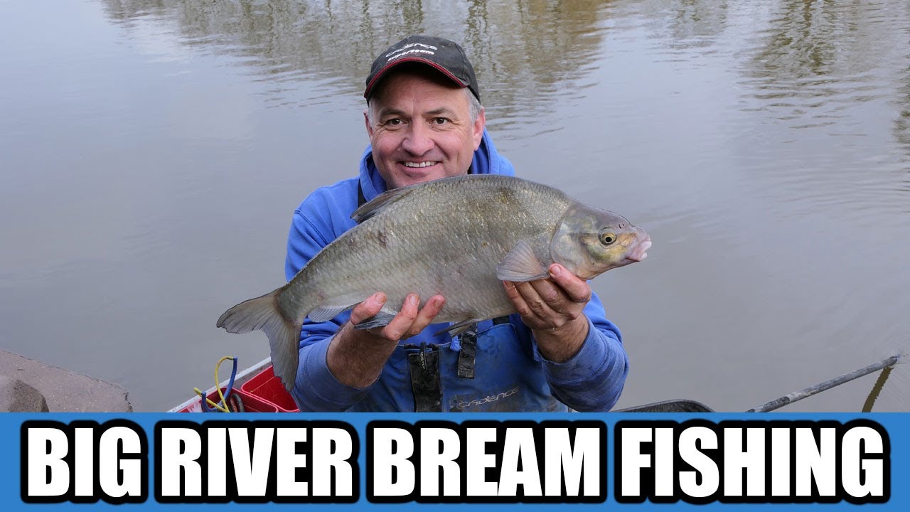 Big River Bream On The Bolo - YouTube