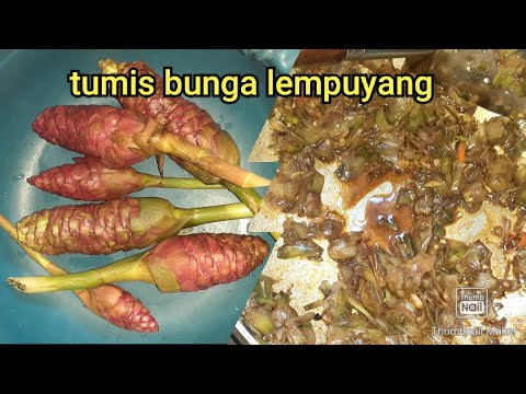 tumis bunga lempuyang @ sahrul munir - YouTube