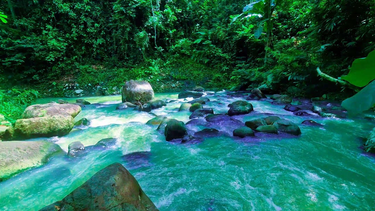 The Perfect Blend of Rapid Current and Calm Water Flow for Better Sleep ...