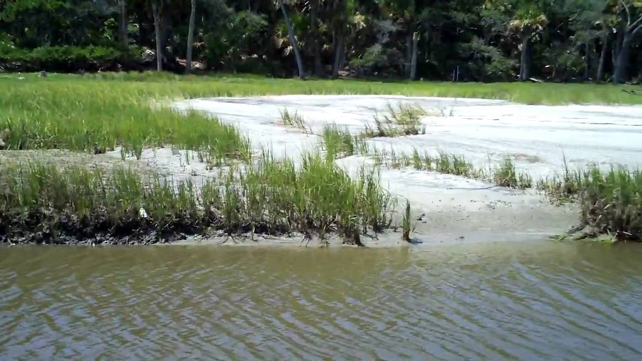 Importance of the Marsh Ecosystem - YouTube