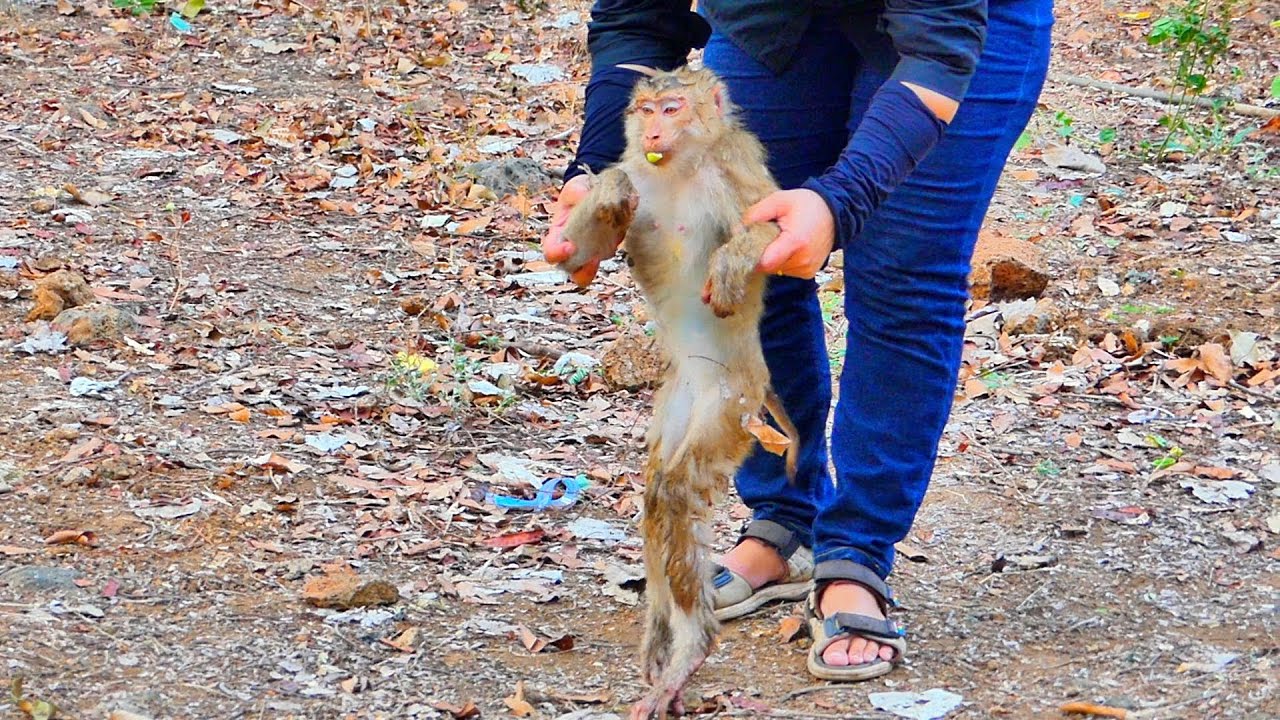 Thanks..! Moka monkey even can't do but she is also happy to help from ...