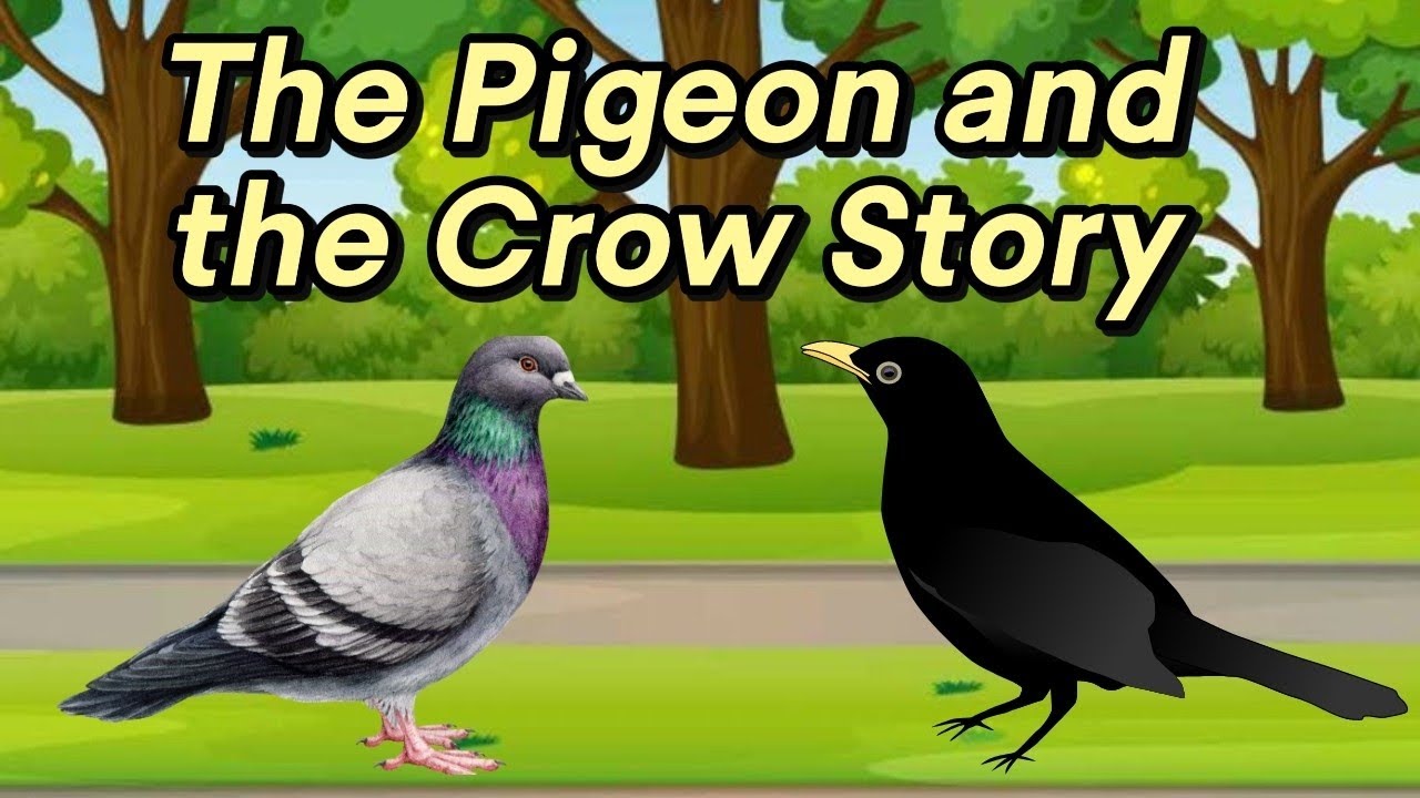 The Crow🐦‍⬛and the Pigeon Story||English Animals Stories for kids ...