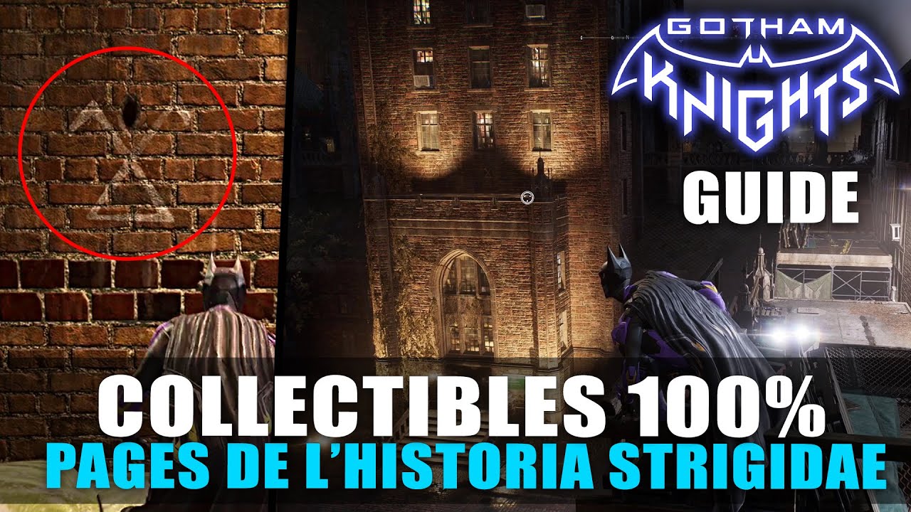 Gotham Knights Historia Strigidae