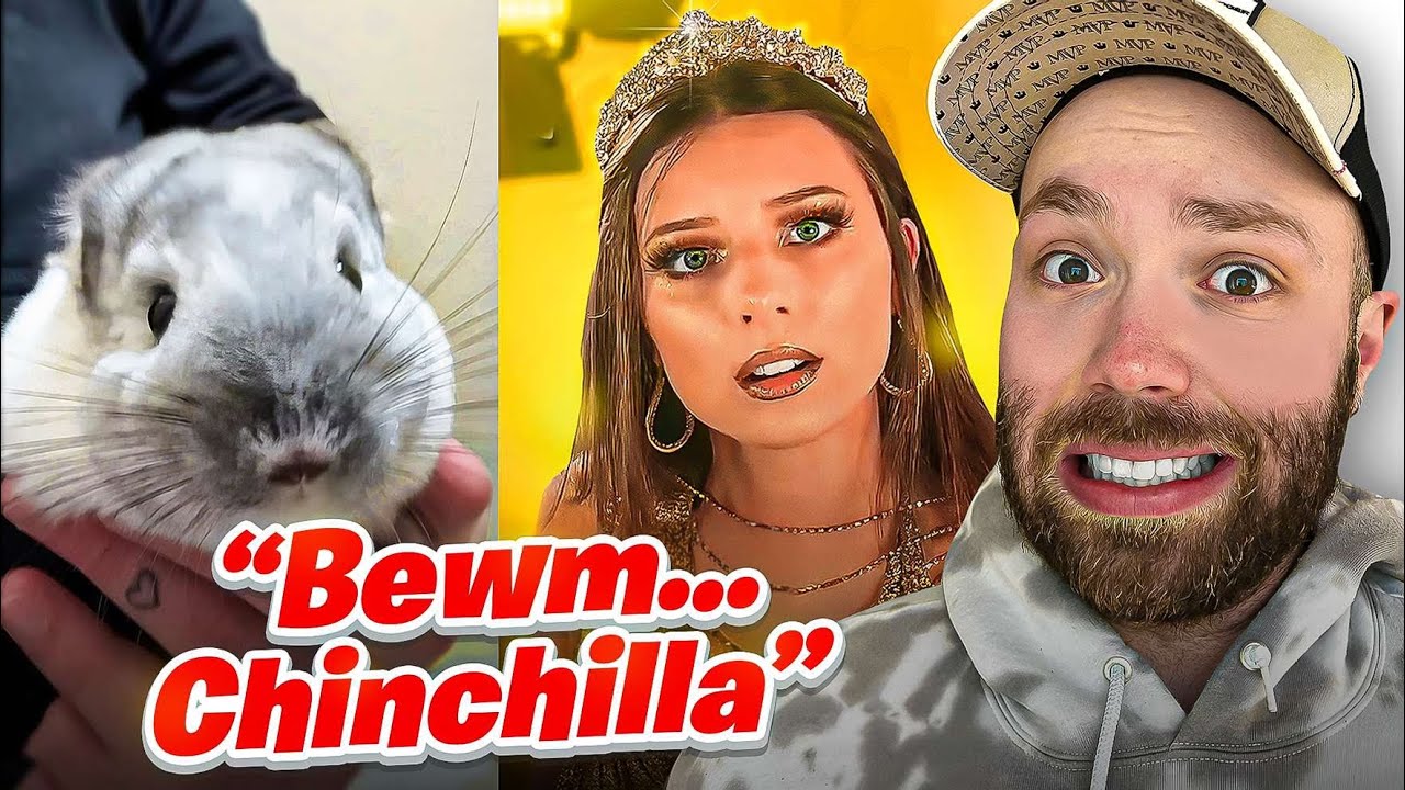 Bewm Chinchilla with @Imthe_annag - YouTube
