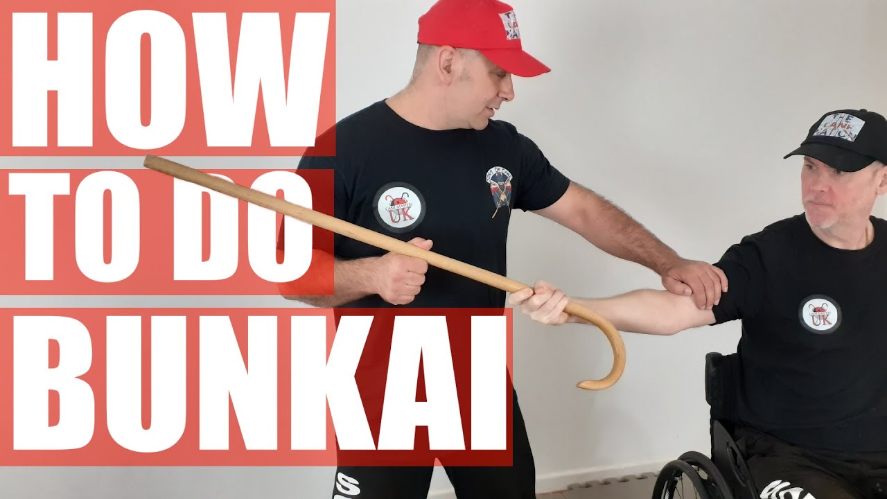 The bunkai explained pt1 Do you know what Bunkai is? Heres a quick ...