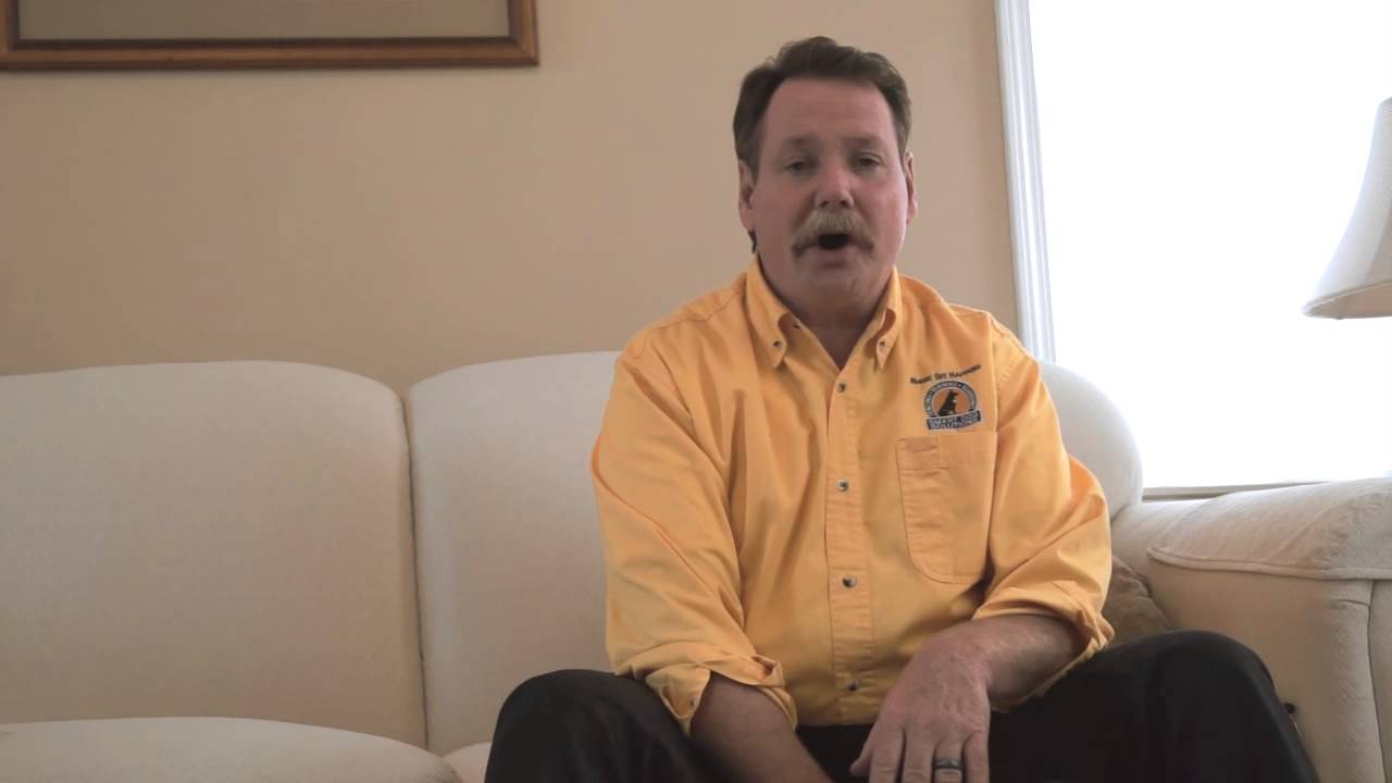 Tom Beitz- Is my dog going to be in a kennel the whole time? - YouTube