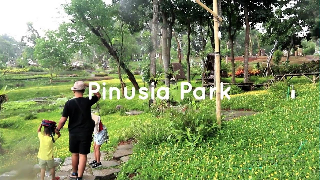 Pinusia Park, mengajak anak ke Hutan Pinus, dekat exit tol Ungaran, Kab ...