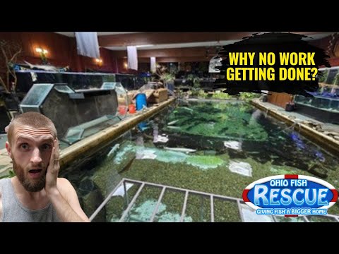 Josh Updates the Vlog about the Work on the New Tanks and Other ...