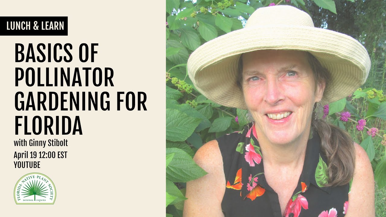 Basics of Pollinator Gardening for Florida - YouTube
