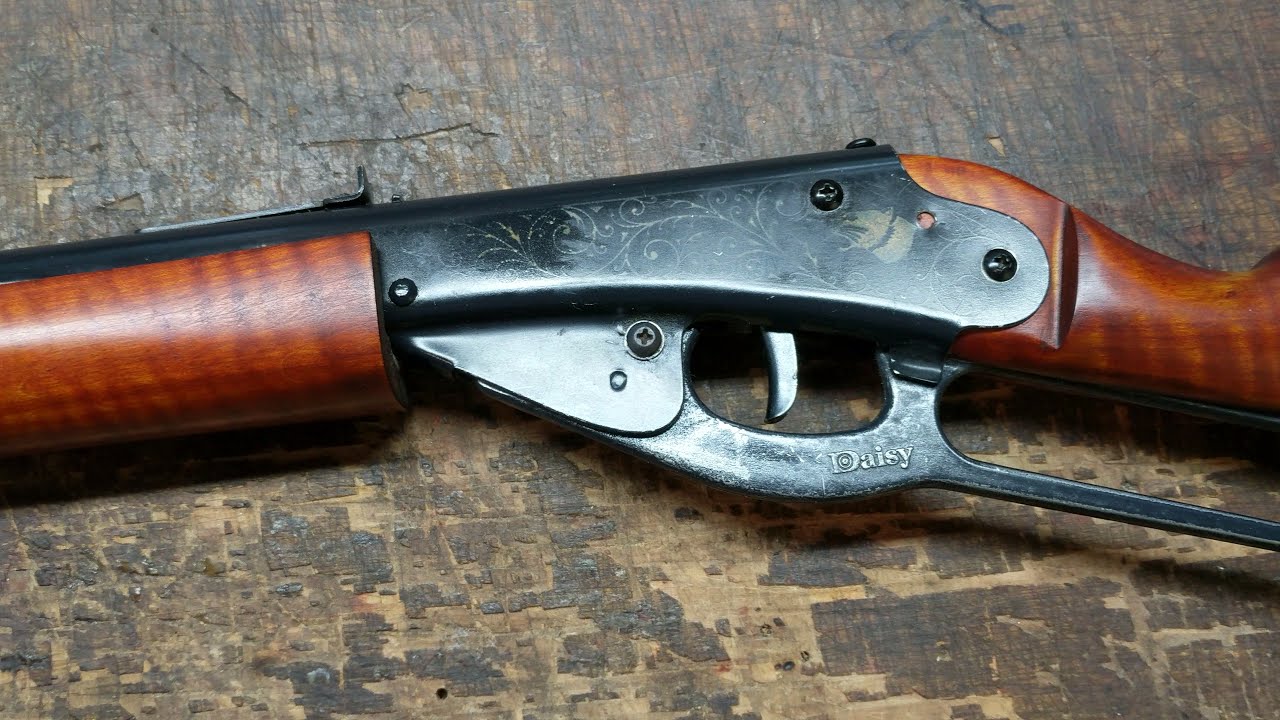 400 FPS Daisy Model #111 Rodgers AR and a dog! - YouTube