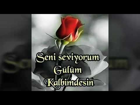 Seni severdim