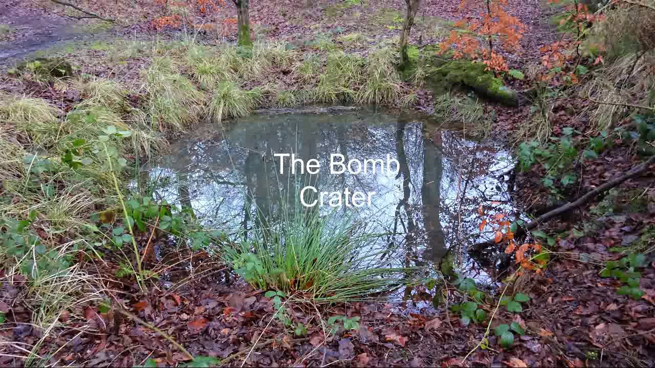 WW2 Bomb Crater, Lainshaw Woods, Stewarton - YouTube