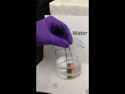 Oleophilic Hydrophobic Magnetic (OHM) Sponge - How does it work? - YouTube