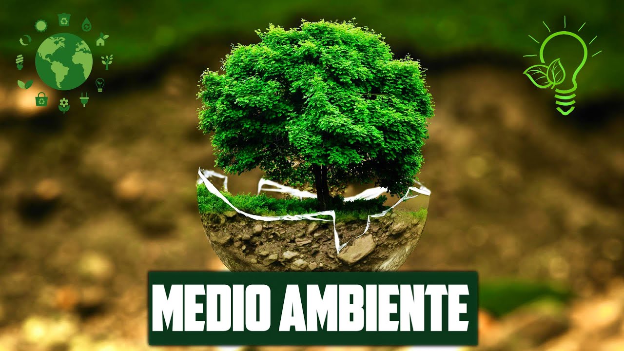 ¿QUÉ ES EL MEDIO AMBIENTE? DEFINICIÓN, RESUMEN Y CUIDADO - YouTube