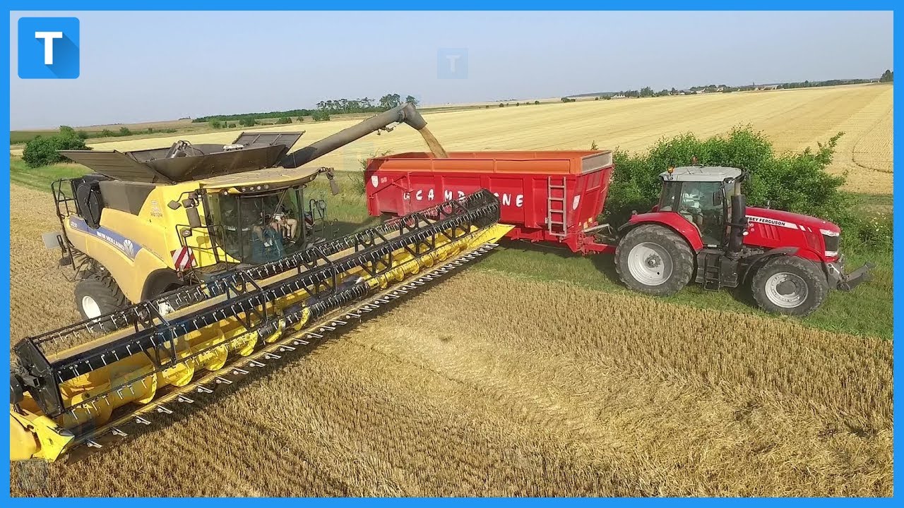 Wheat and Canola Harvest From Harvest to Store House Complete Process ...