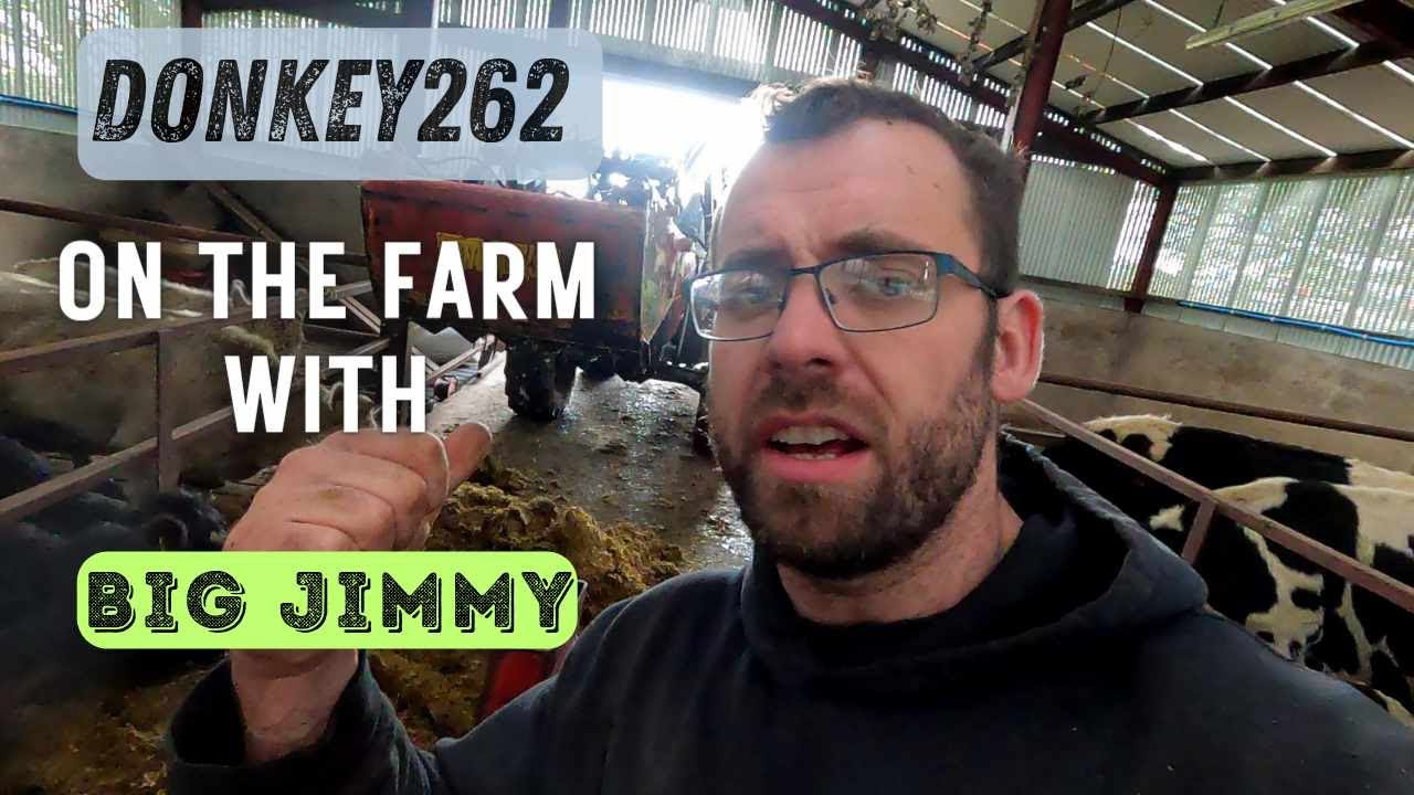 DONKEY262 - Bringing the Beasts in For Winter - YouTube