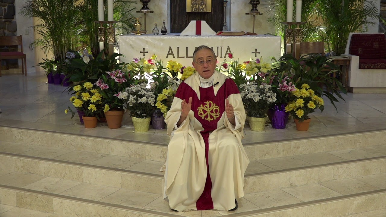 Msgr Joe's Children's Homily for the 5th Sunday of Easter - YouTube