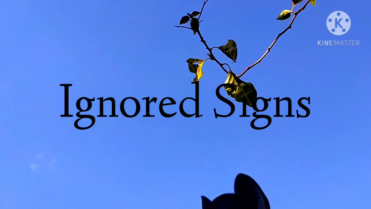 Ignored Signs YouTube ignored-signs-youtube