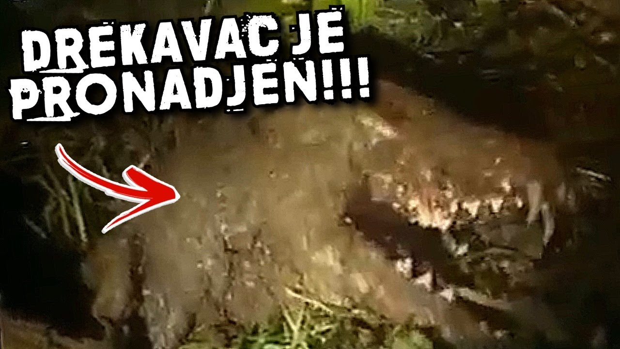 DREKAVAC JE KONAČNO PRONADJEN!!! - Jezivi video koji dokazuje njegovo ...