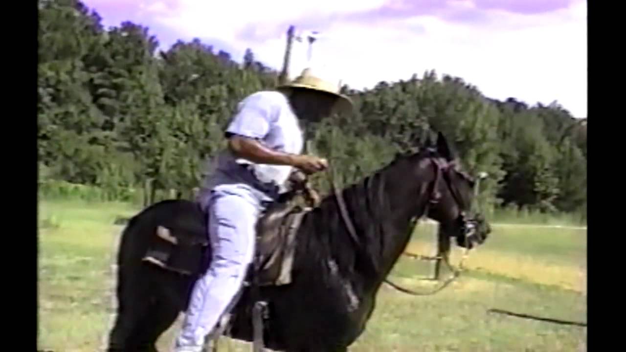 Horse Riding Fails Compilation | funny horse - YouTube