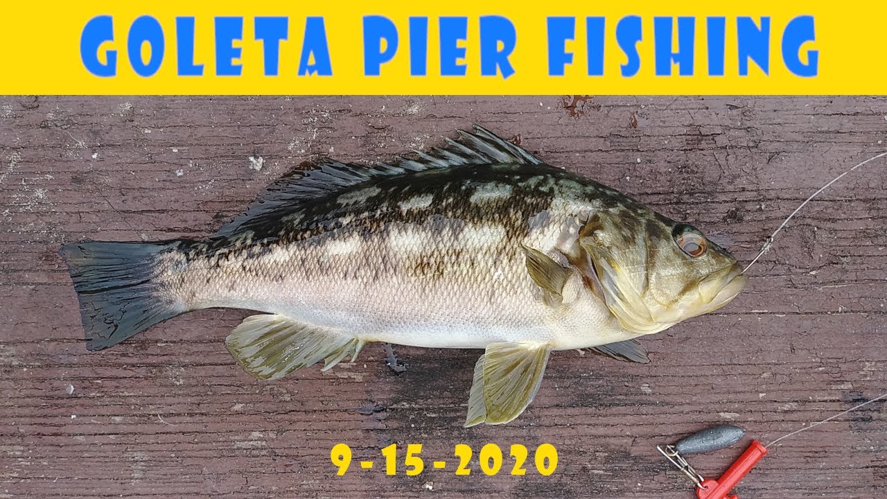 Goleta Pier Fishing 2020 - YouTube