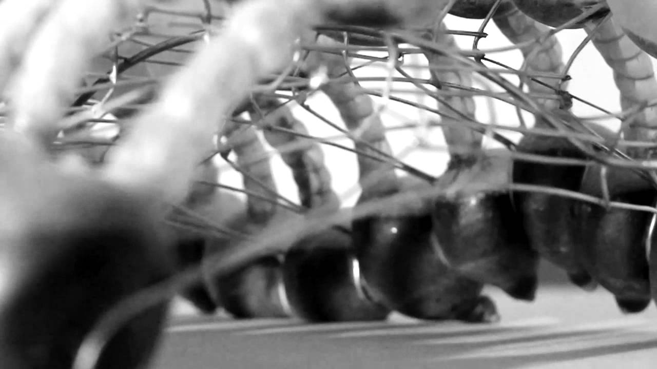 Kinetic sculpture Steel thread, latex and tinted water in motion - YouTube