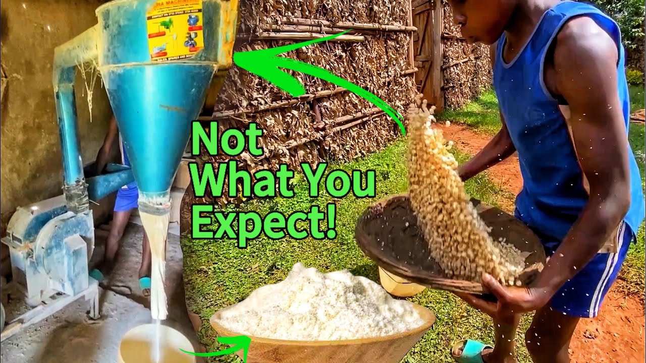 What It Takes to Make Real Maize Flour in the Village - YouTube