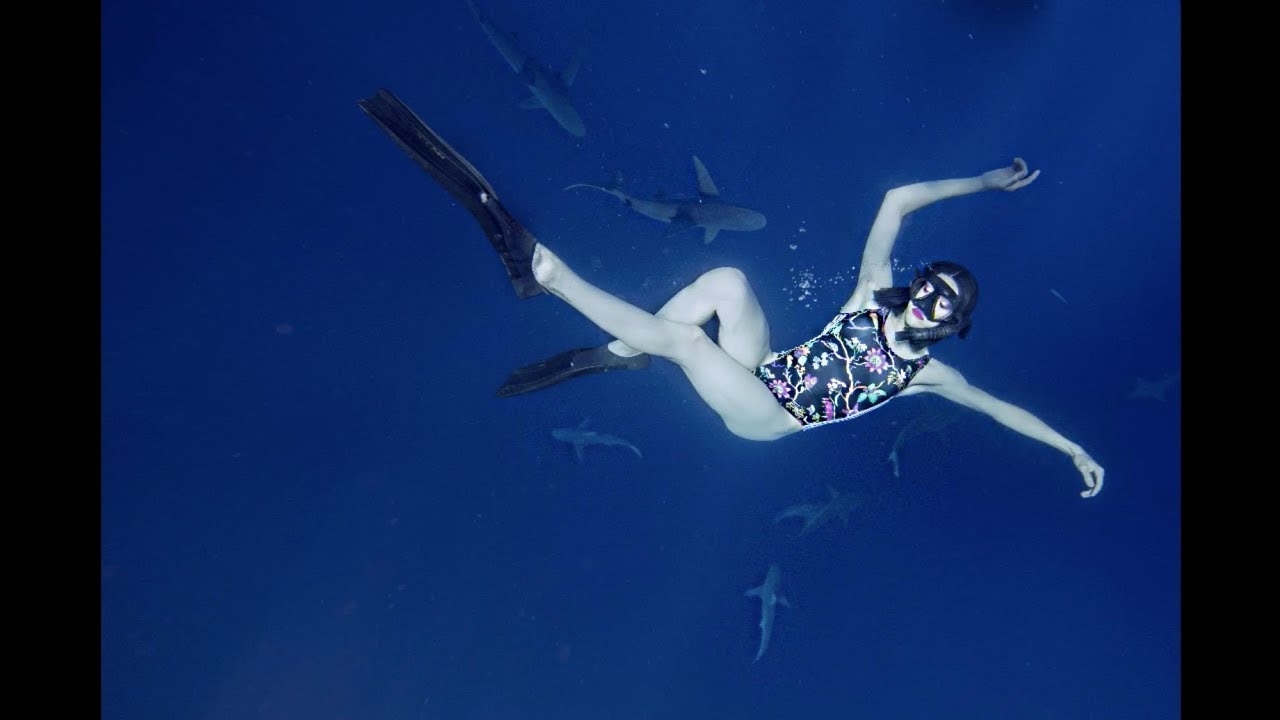DRAG QUEEN DIVES WITH SHARKS CAGELESS - YouTube