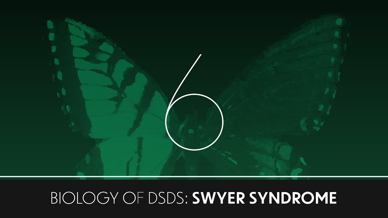 Biology of DSDs (6) Swyer Syndrome - YouTube