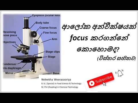 ආලෝක අන්වීක්ෂ | ප්‍රායෝගික පරීක්ෂණ| How to focus a compound light ...