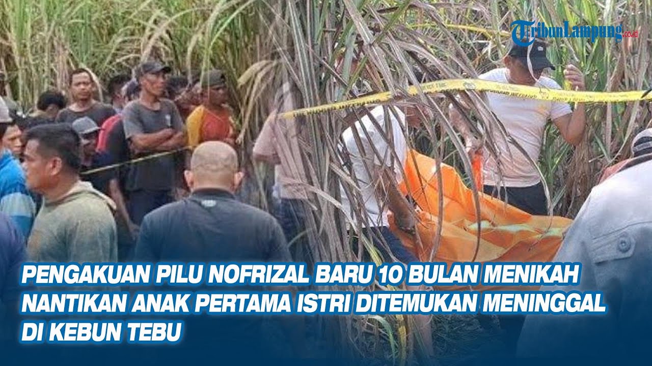 Pengakuan Pilu Nofrizal 10 Bulan Menikah Nantikan Anak Pertama Istri ...