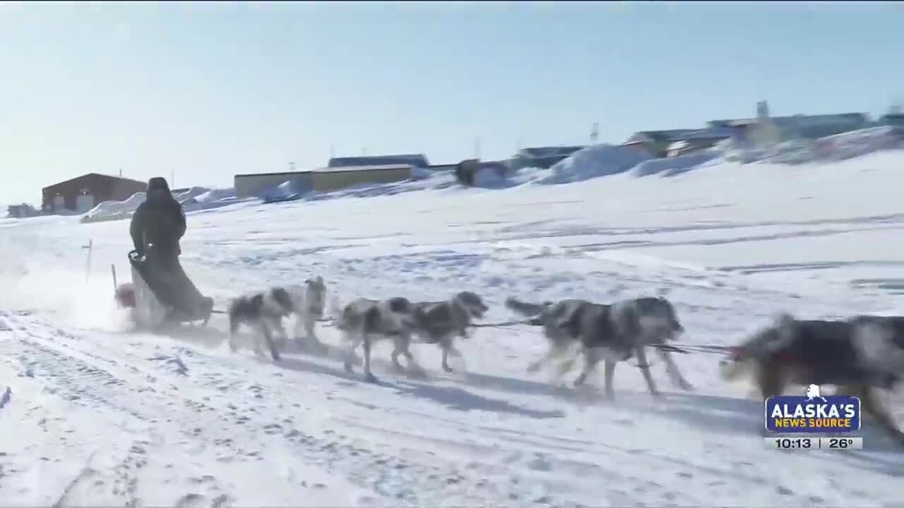 Dallas Seavey closing on record 6th Iditarod title - YouTube