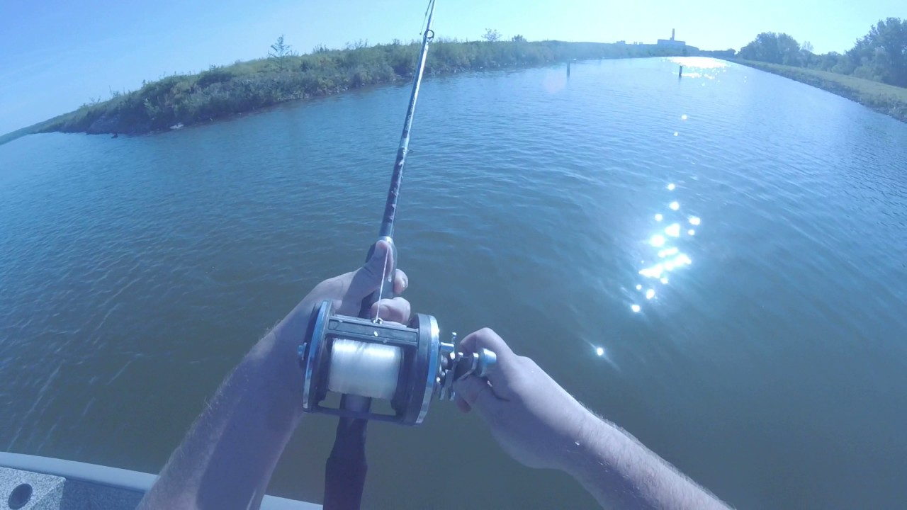 Dustin Moretto powerton lake white bass - YouTube