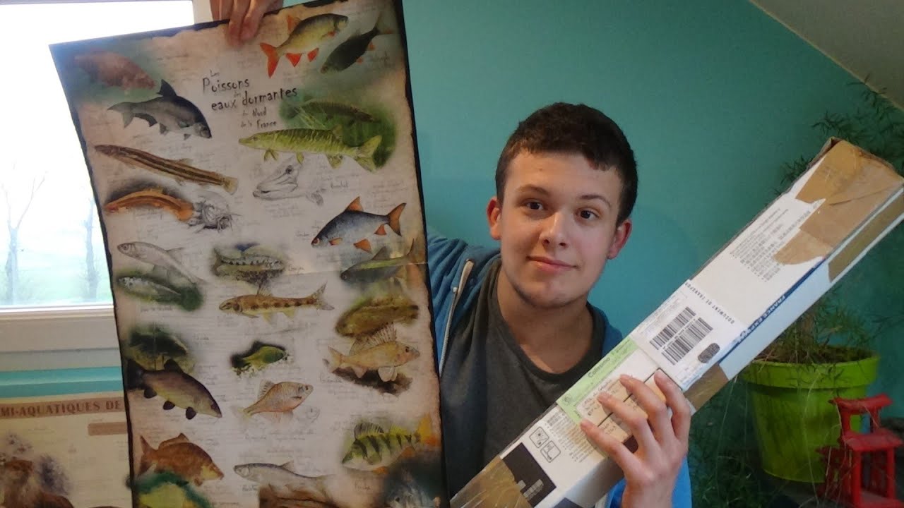 UNBOXING DE POSTER ANIMALIER ( de la cpie) - YouTube