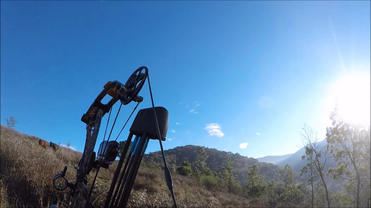 scrub bull bow hunting - YouTube