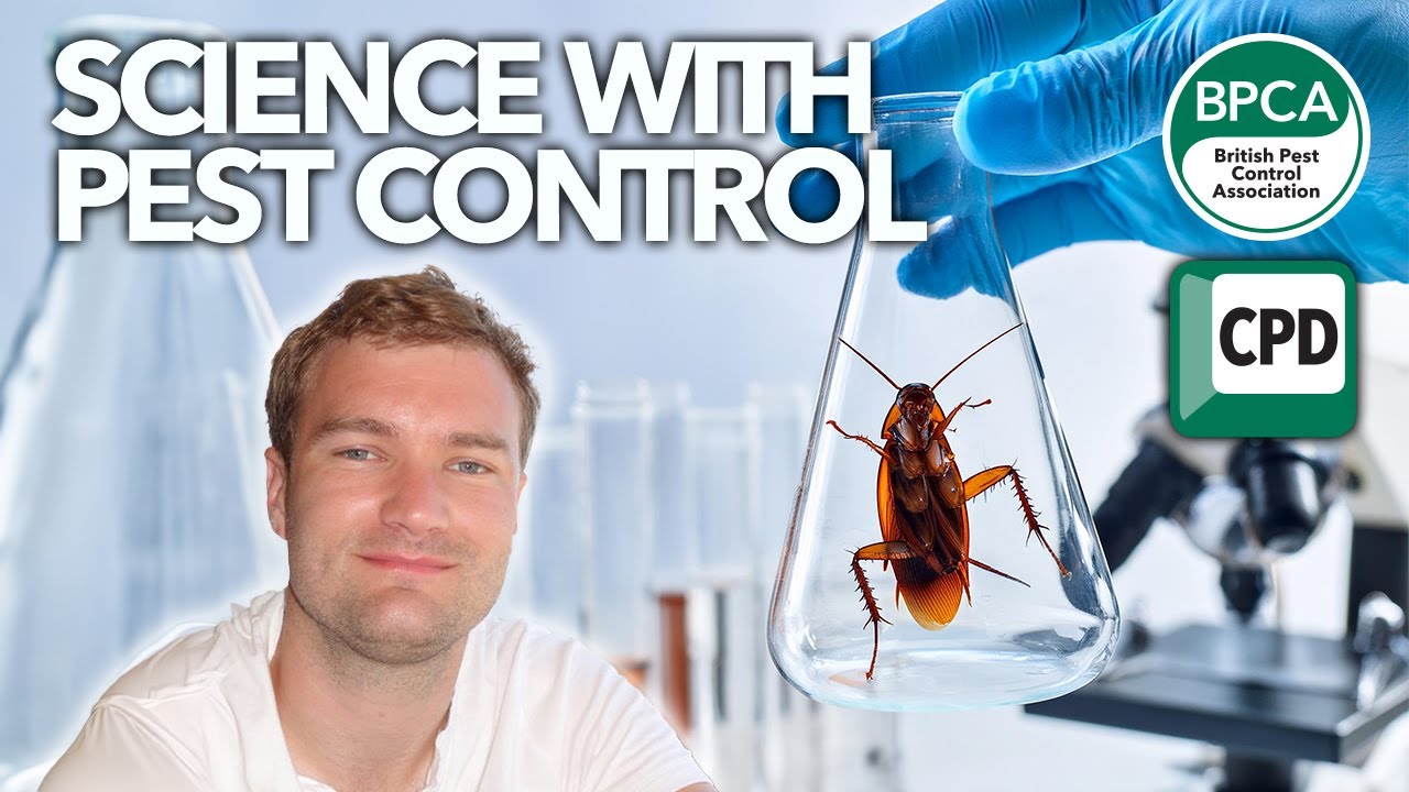 How science can contribute to pest control - YouTube