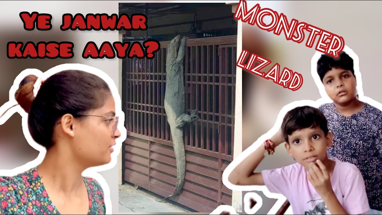 Monster lizard dikha aaj😨| Ye janwar kaise aaya?😰 | Tanishq Singh ...