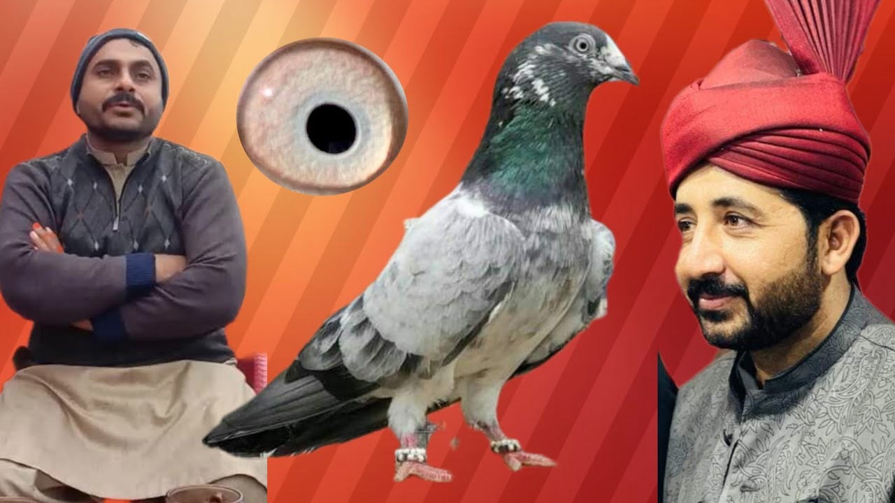Ustad Chaudhry Zahid Hanan Gokwal Faisalabad ki chat se shoq - YouTube