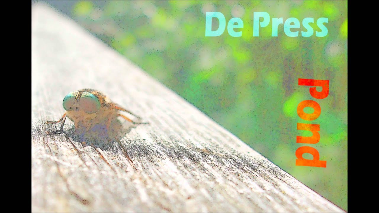 De Press - Pond - YouTube