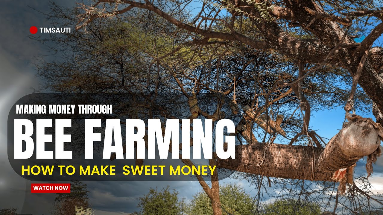 Is Bee Farming in Kenya Worth It? Profits, Challenges & Secrets ...