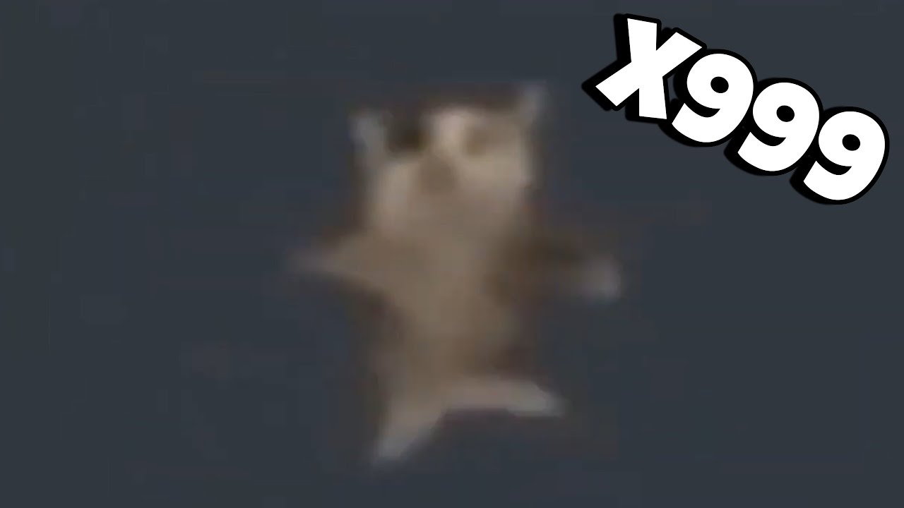 shnip shnap schnappi meme - Speed x999 - YouTube